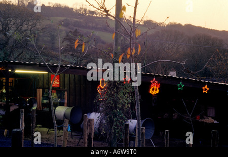 The Christmas tree wrapping machines Stock Photo - Alamy