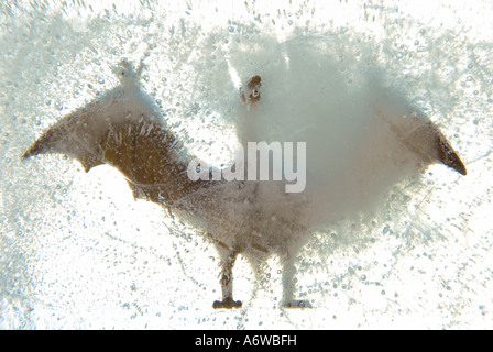 Frozen Toy Pterodactyl Stock Photo - Alamy