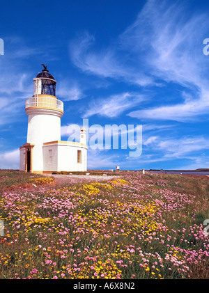 Chanonry Point lighthouse on the Moray Firth between Fortrose and ...