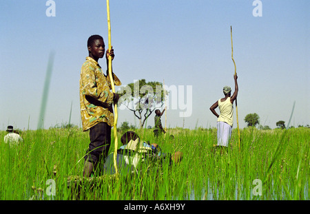Botswana people Bayei mokoro poler at sunset in the Okovango Delta ...