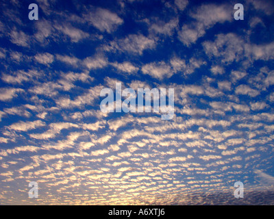 Altocumulus are mid-level layers or patches of cloudlets in the shape ...