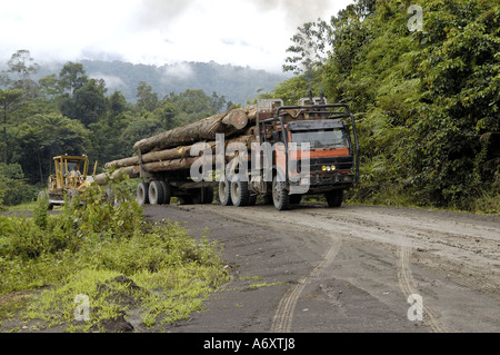 Logging trucks removing timber from rain forest Malaysia Stock Photo ...