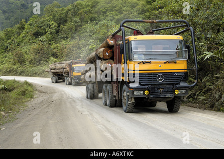Logging trucks removing timber from rain forest Malaysia Stock Photo ...