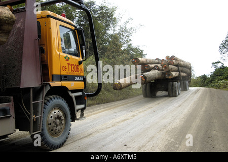 Logging trucks removing timber from rain forest Malaysia Stock Photo ...