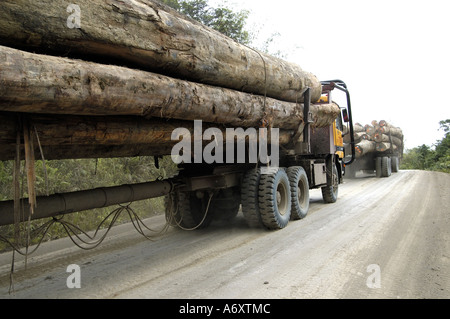 Logging trucks removing timber from rain forest Malaysia Stock Photo ...