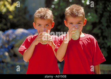 portrait of twin brothers drinking lemonade Stock Photo - Alamy
