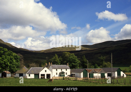 Scotland Scottish Farm Farmer Highlands Skye Stock Photo - Alamy