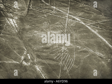 Nasca Lines Hummingbird Symbol Stock Photo - Alamy