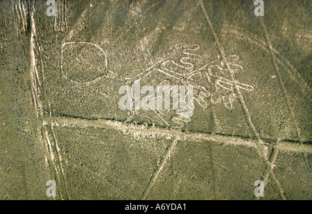 Nasca Lines, Animal Symbol, Peru Stock Photo - Alamy