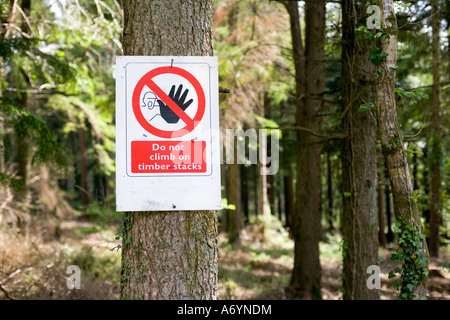 Health and Safety 'do not climb on the timber stacks' sign in front of ...
