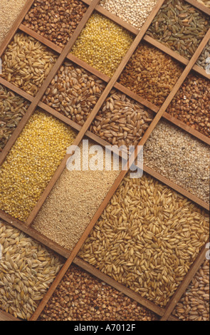 Cereals in the box Stock Photo - Alamy