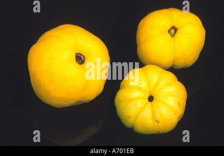 food fruit fruits quinces quitten Stock Photo - Alamy