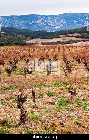 Chateau de la Prune au Pot Ceulmont in Creuse Valley Stock Photo ...