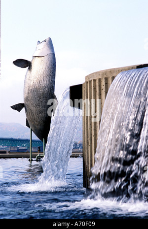 salmon campbellton new brunswick canada Stock Photo - Alamy