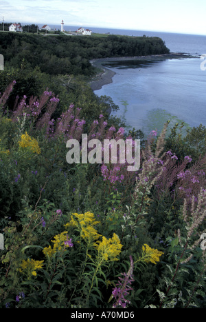 Gaspe Peninsula North Coast Stock Photo - Alamy