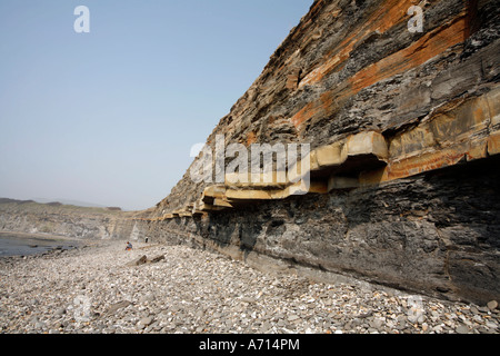 Wave-cut platform at Kimmeridge, Dorset, UK Stock Photo: 36852416 - Alamy