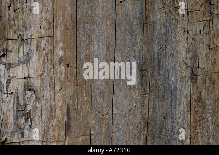 Wood texture with natural patterns as a background Stock Photo - Alamy