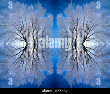 winter cold reflection Stock Photo - Alamy