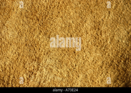 Fabric design back smooth rear color reverse horizontal Stock Photo - Alamy