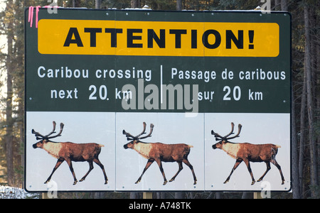 A highway sign warning of wild caribou Stock Photo - Alamy