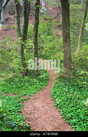 The Path Ahead Stock Photo - Alamy