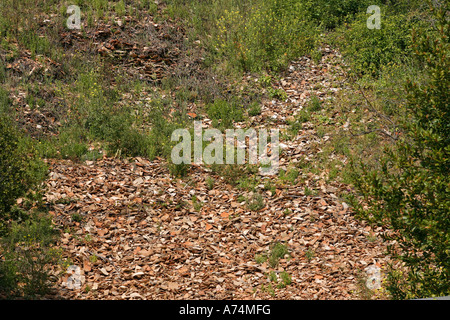 Italy, Rome, Testaccio, Monte dei Cocci Stock Photo - Alamy
