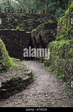 Mexico, Chiapas, Ocosingo, Yaxchilan Mayan Ruins. Visitor & ceiba tree ...