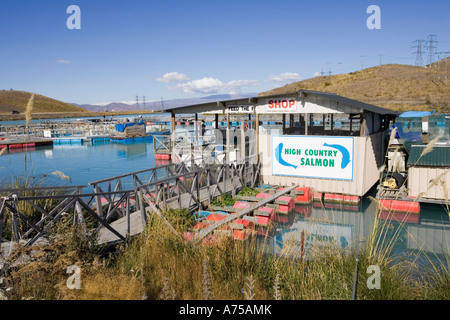 Salmon farming at High Country Salmon near Twizel with roadside shop ...