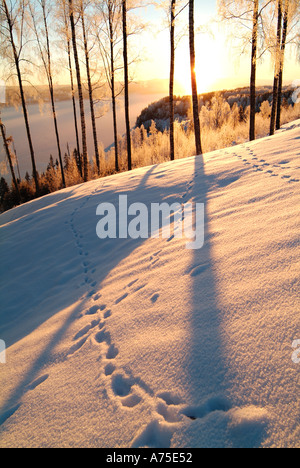 Winter view over lake Fryken in rural Varmland Sweden Stock Photo - Alamy