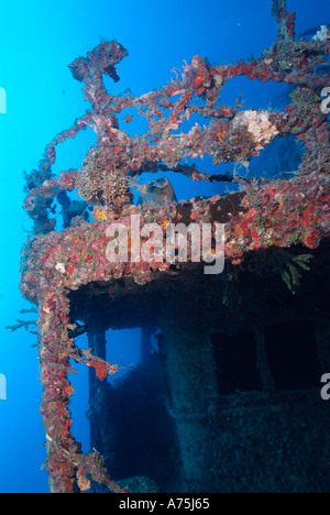 The Eagle wreck Islamorada in Florida Stock Photo - Alamy