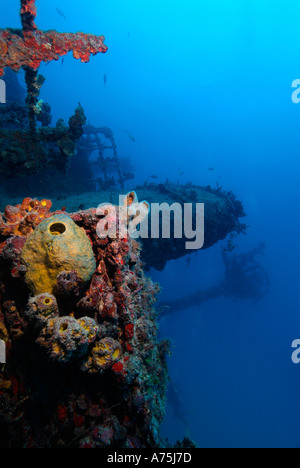 The Eagle wreck Islamorada in Florida Stock Photo - Alamy