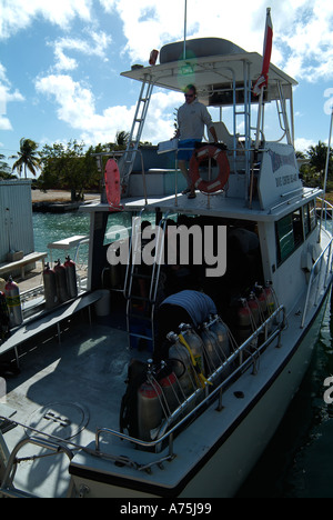 Man diving in Key largo, Florida, USA Stock Photo - Alamy