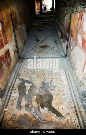 Europe, Italy, Campania, Pompeii. Cave Canum or Beware of Dog mosaic in ...