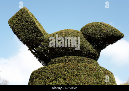 Topiary example a bird shaped from hedging in an English garden uk ...