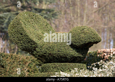Topiary example a bird shaped from hedging in an English garden uk ...
