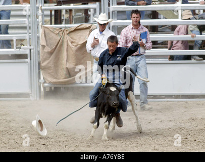 Wanaka Rodeo Wanaka New Zealand Picture by Barry Bland Stock Photo - Alamy