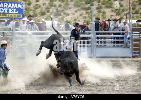 Bull Riding Wanaka Rodeo Wanaka New Zealand Picture by Barry Bland ...