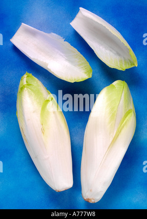 heads of fresh belgian endive on white background Stock Photo - Alamy