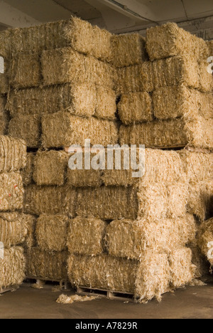 kenaf processing plant factory Stock Photo - Alamy
