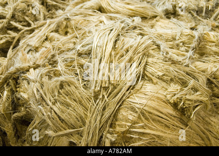 kenaf processing plant factory Stock Photo - Alamy