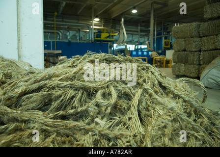 kenaf processing plant factory Stock Photo - Alamy