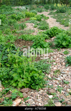 Holbrook the stone garden April 9 Stock Photo - Alamy