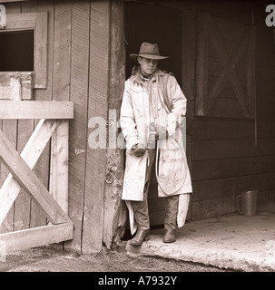 Ranch hand or cowboy at a Colorado, USA dude guest ranch Stock Photo ...