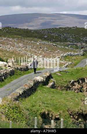 Rocky field in County Clare. Ireland Stock Photo - Alamy