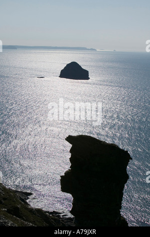 Rock Stack near Trebarwith Strand, North Cornwall Stock Photo - Alamy