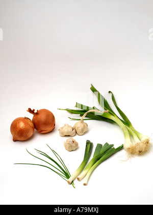 Five Pungent Spices Stock Photo - Alamy