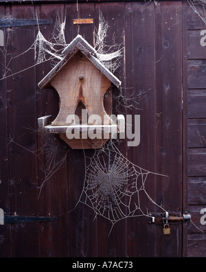 A frost covered cobweb in a garden in Norfolk Stock Photo - Alamy