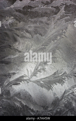 Delicate frost patterns on a window glass in winter on black Stock ...