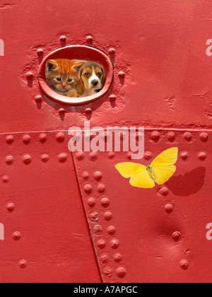 Dog and cat best friends Stock Photo - Alamy