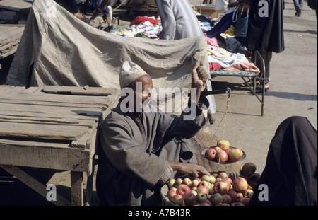 North India Local Caption Jammu Kashmir Srinigar Shalimar Gardens Stock ...